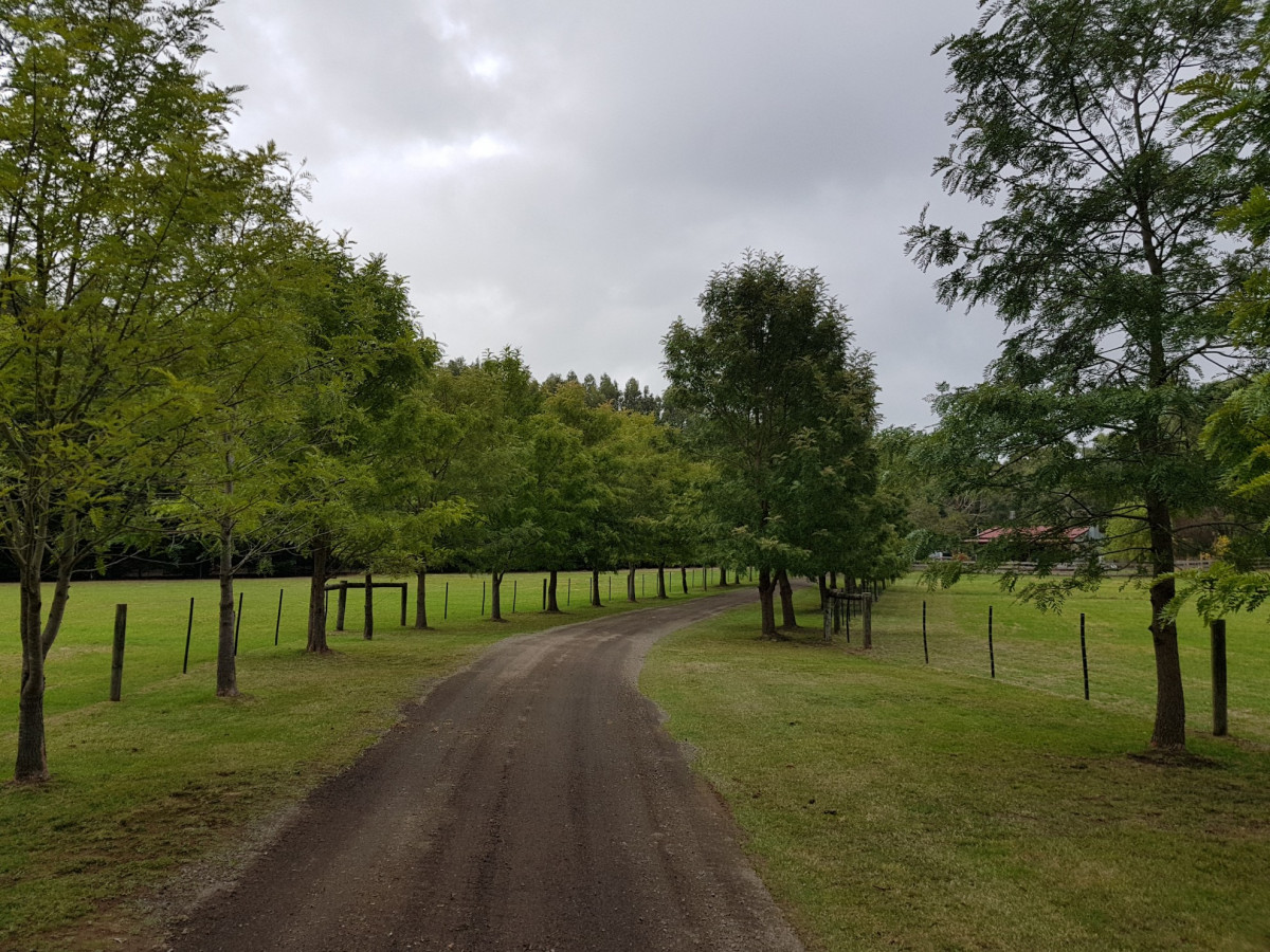 Country Drive - Hire for Film, TV or Event Productions