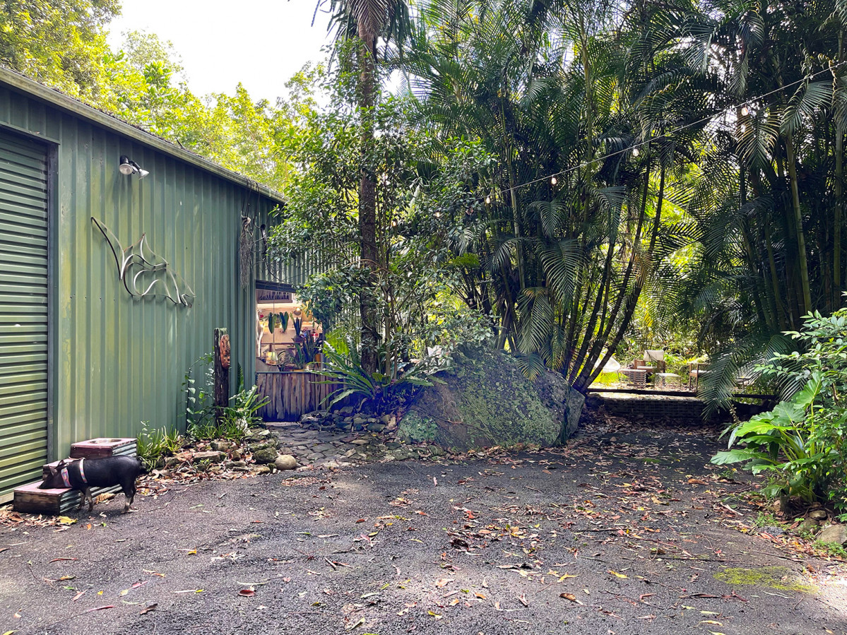 Rainforest Cabine - Hire for Film, TV or Event Productions