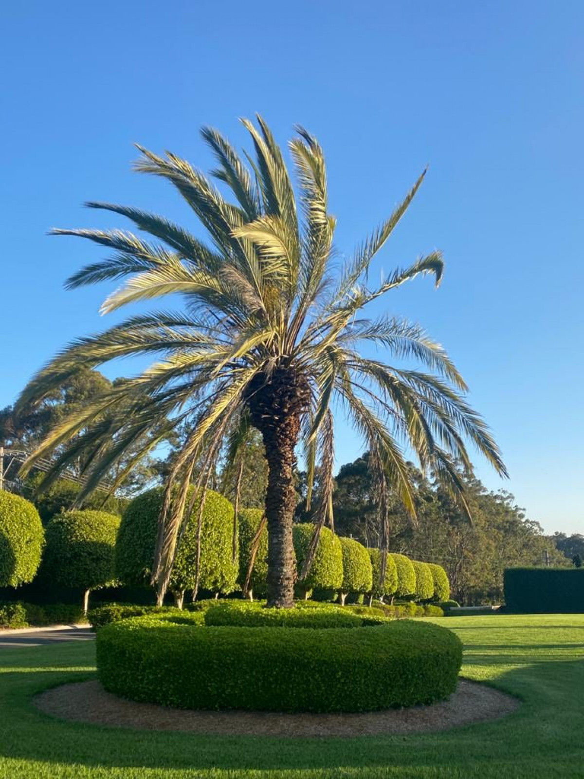 Dural Essence - Hire for Film, TV or Event Productions