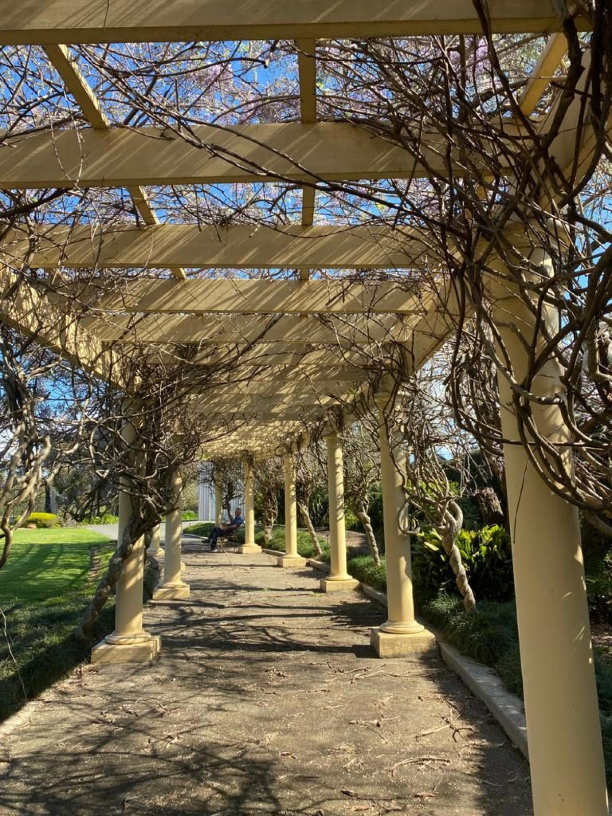 Dural Essence - Hire for Film, TV or Event Productions