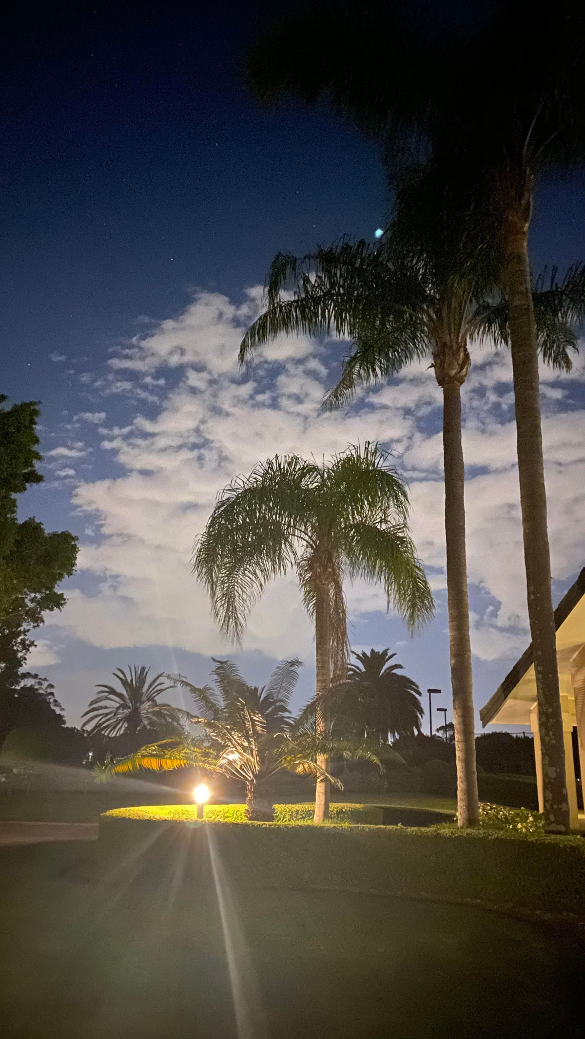 Dural Essence - Hire for Film, TV or Event Productions